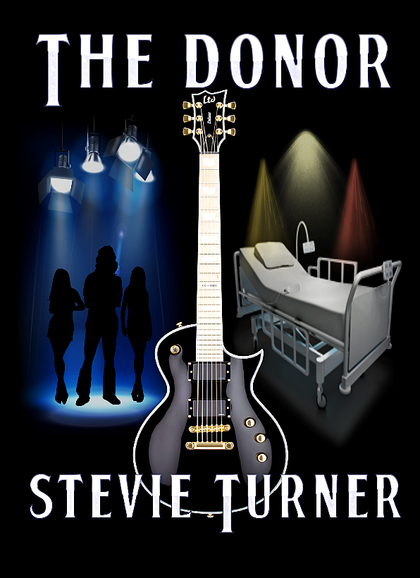 The Donor by @StevieTurner6. Excerpt and a 5 Star #Review. – Lit World ...